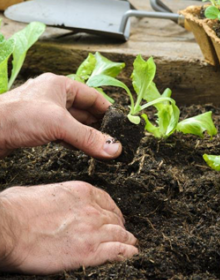 MAEKO - The Food Waste Specialist